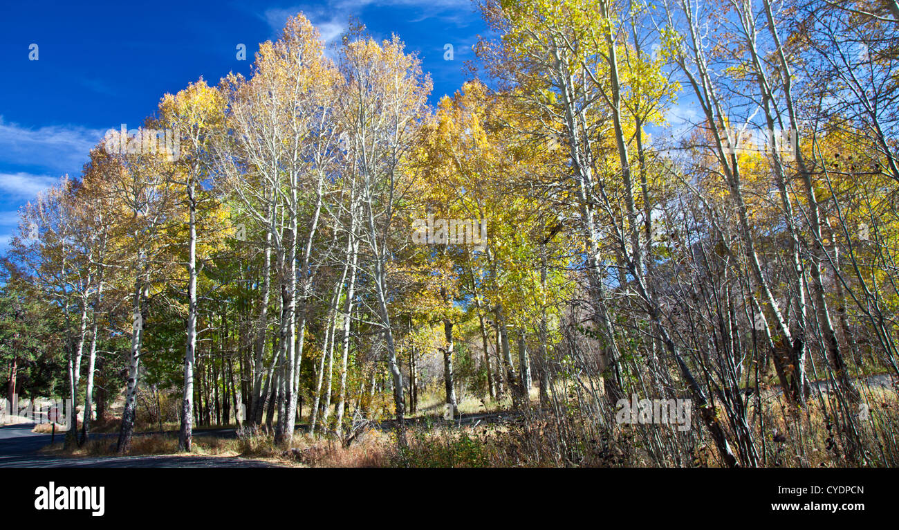 Estes park colorado fall hi-res stock photography and images - Alamy