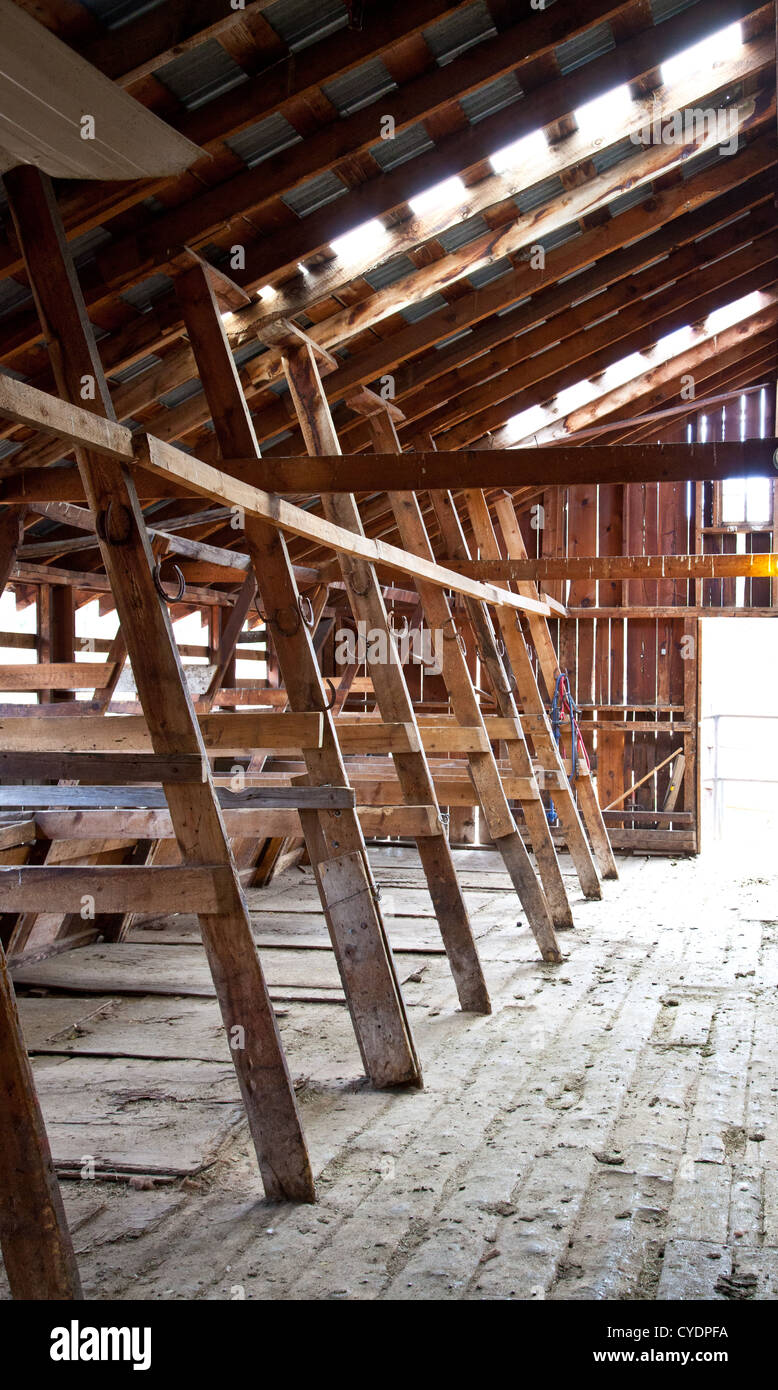 The interior of a barn with stables. Angles and light direction create ...
