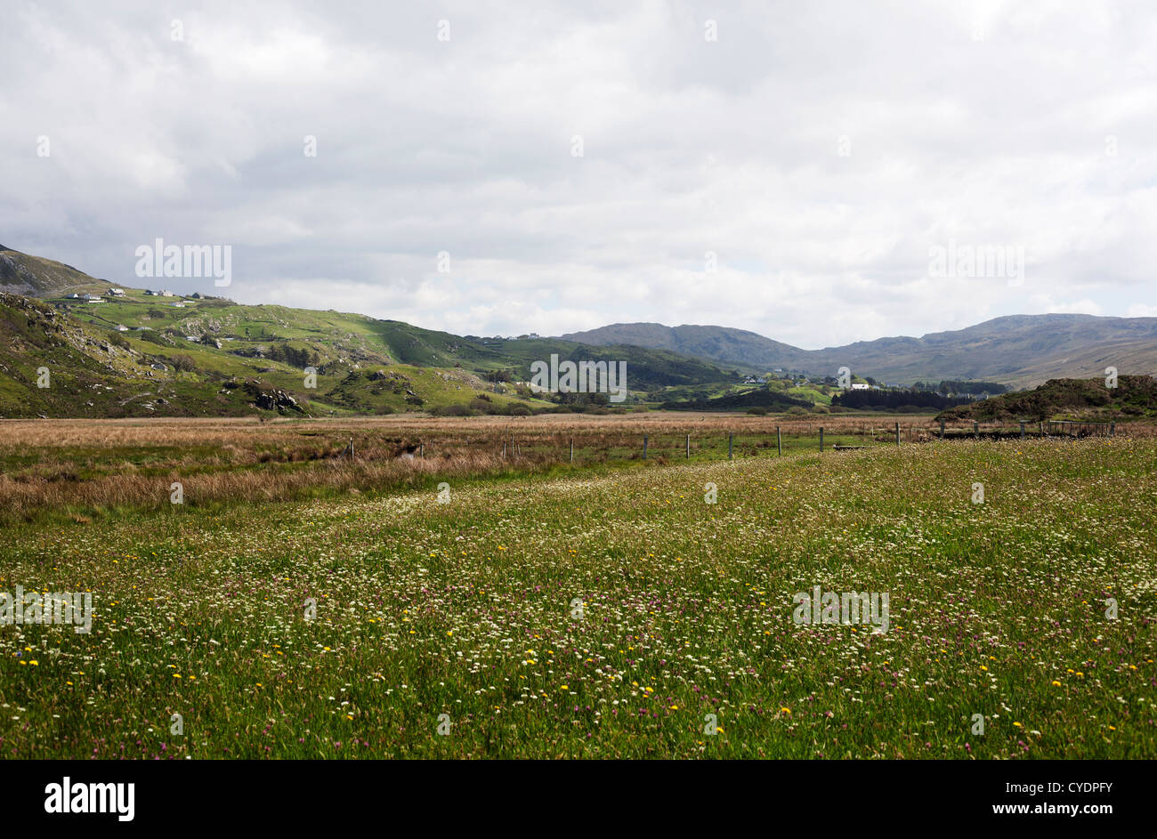 Donegal landscape hi-res stock photography and images - Alamy