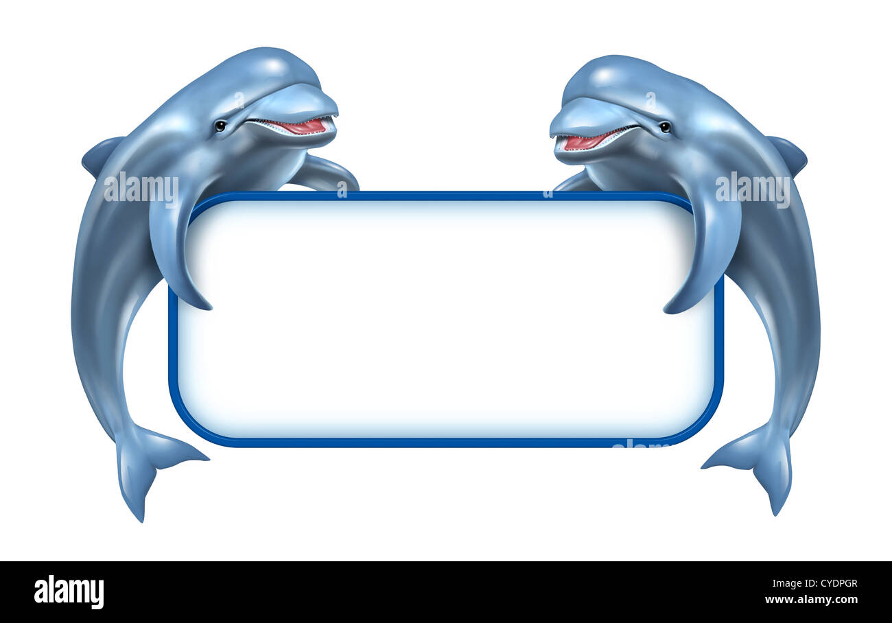 Two happy playful jumping Dolphins holding a white blank sign as a ...
