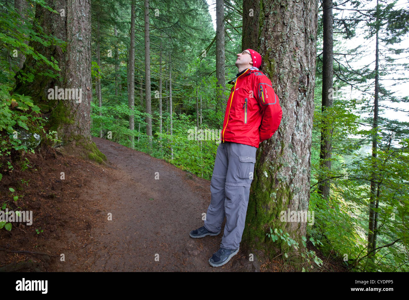 man in forest Stock Photo - Alamy