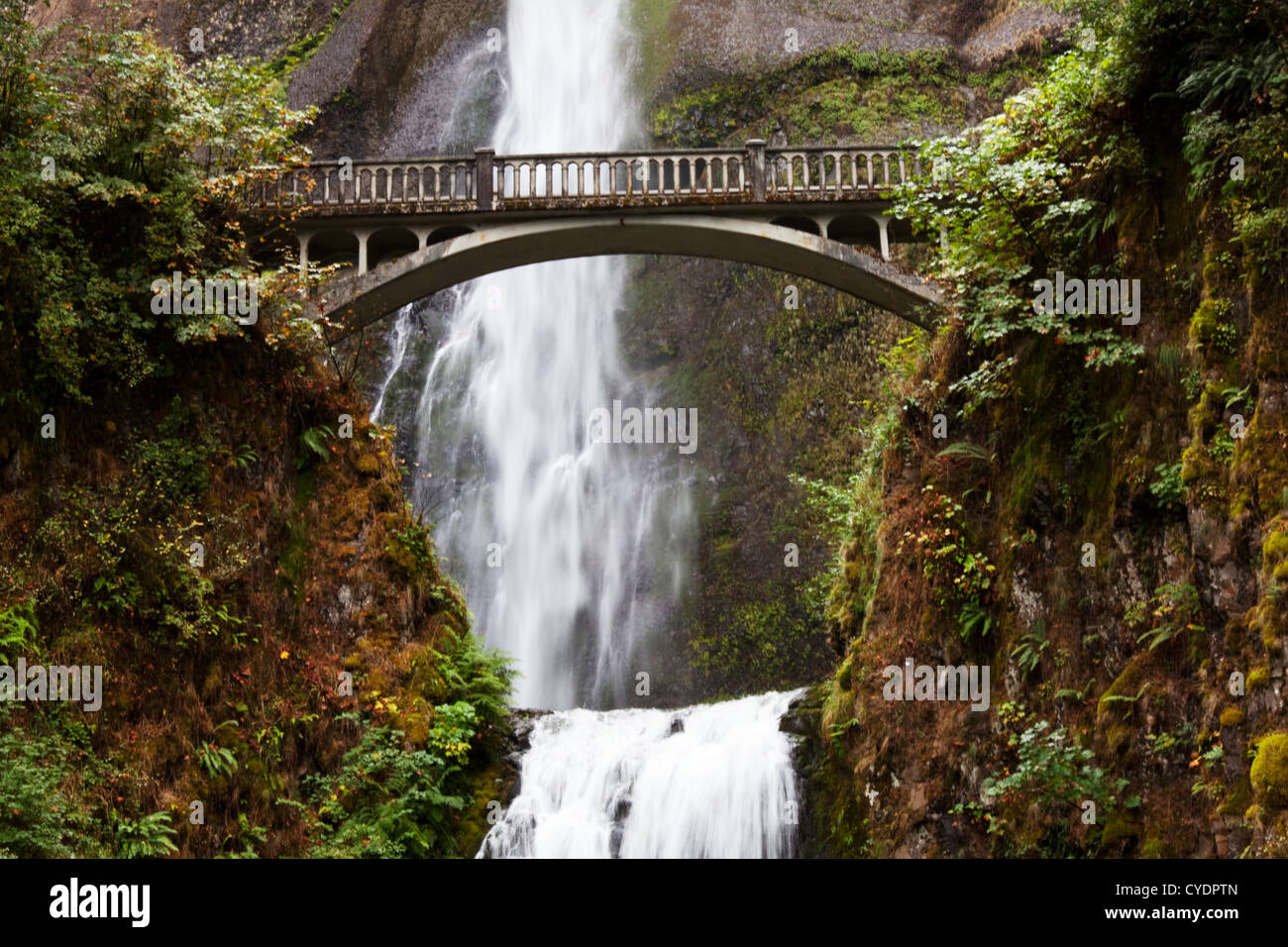 Multnomah Falls in Oregon Stock Photo - Alamy