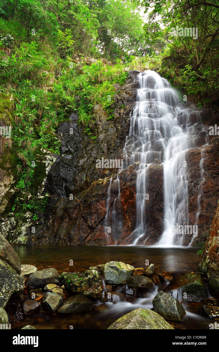 waterfall in forest Stock Photo - Alamy