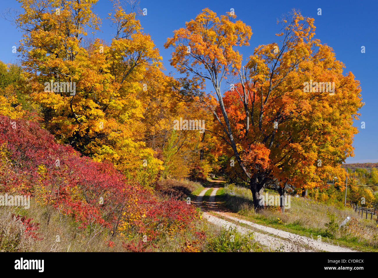 Rural road manitoulin island hi-res stock photography and images - Alamy