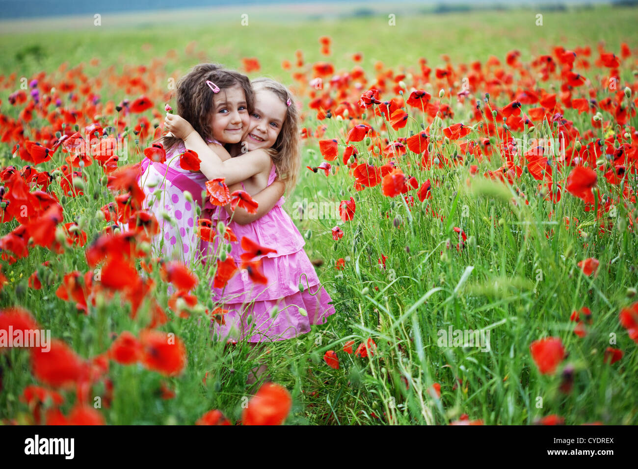 Cute children in poppy field Stock Photo - Alamy