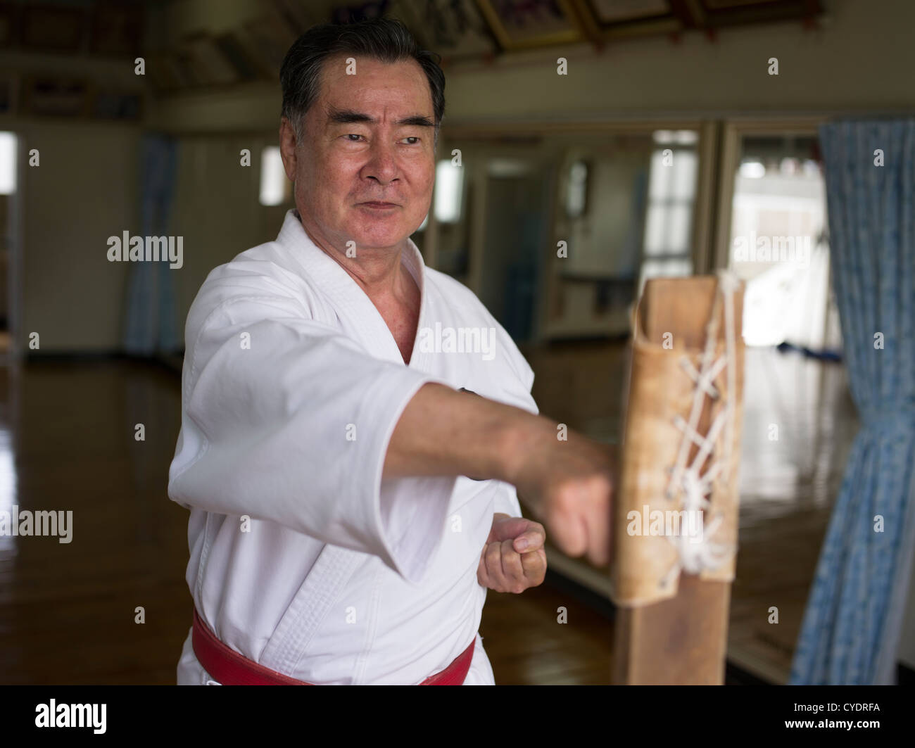Portrait 10th dan shorin ryu karate hi-res stock photography and images ...