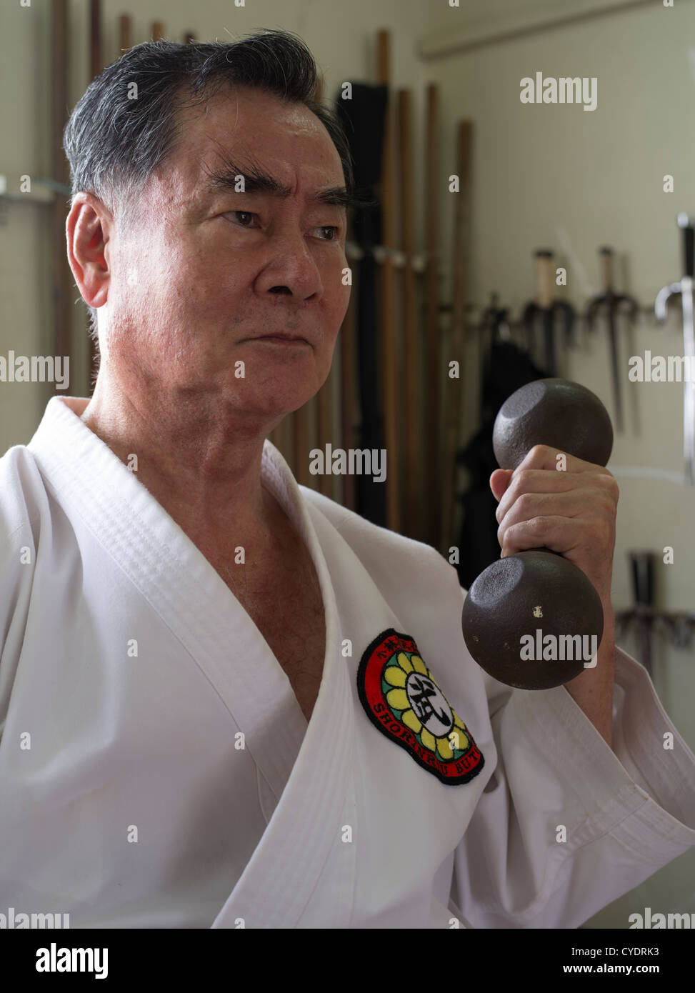 Portrait of 10th Dan Shorin-ryu Karate Master Sokuichi Gibu at his dojo ...