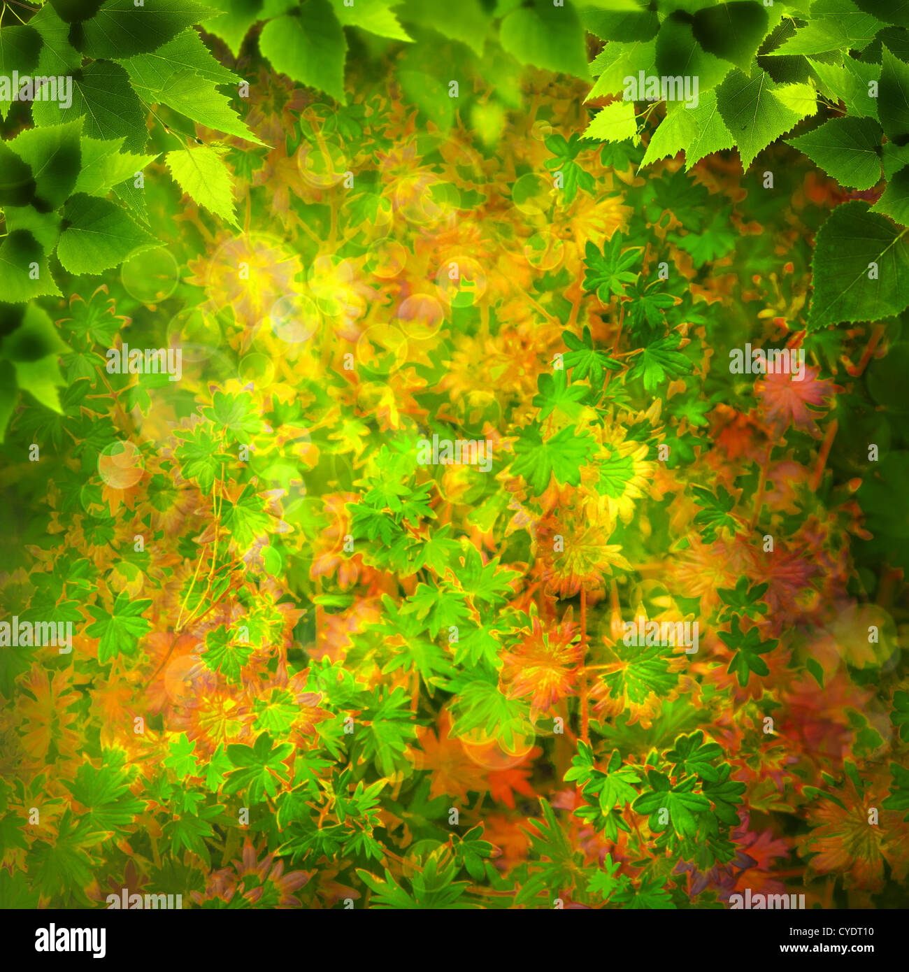 Beauty Nature. Abstract natural backgrounds for your design Stock Photo ...