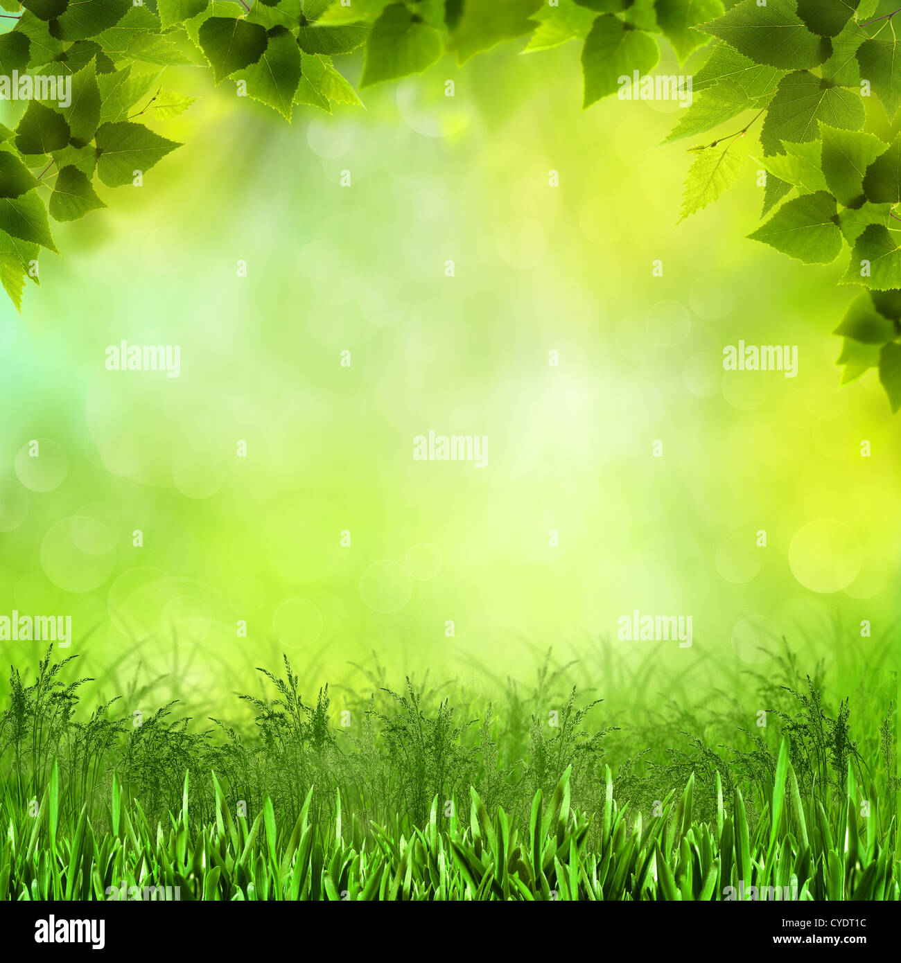 Natural neauty. Abstract natural backgrounds for your design Stock ...