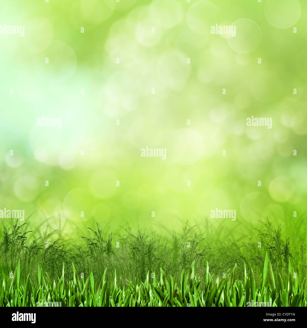 Meadow. Abstract natural backgrounds for your design Stock Photo - Alamy