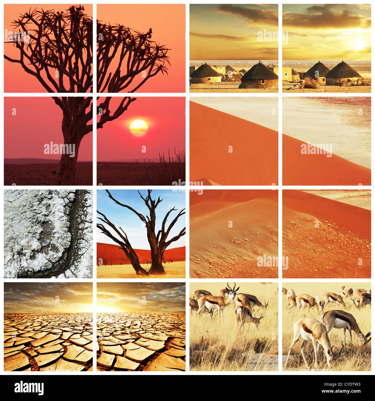african landscapes collage Stock Photo - Alamy