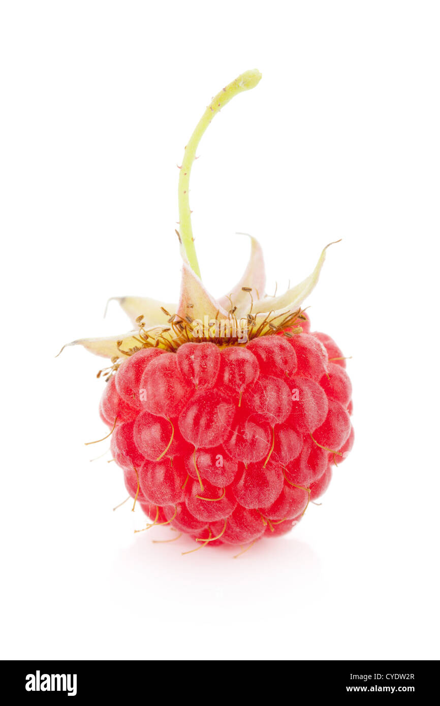 Fresh raspberry macro. Isolated on white background Stock Photo - Alamy