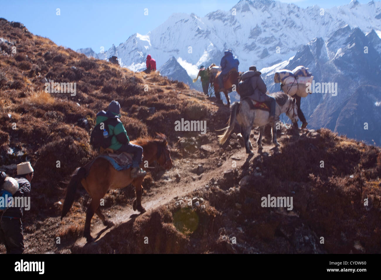 Mount Everest, Nepal Stock Photo - Alamy