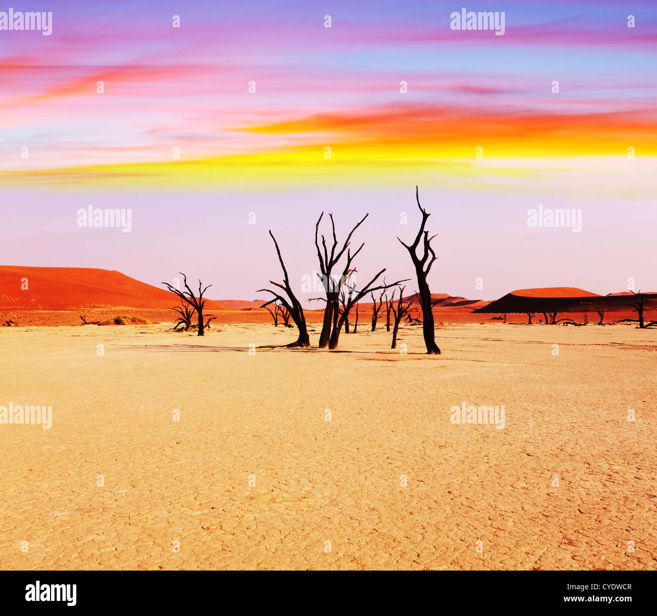 Dead valley in Namibia Stock Photo - Alamy