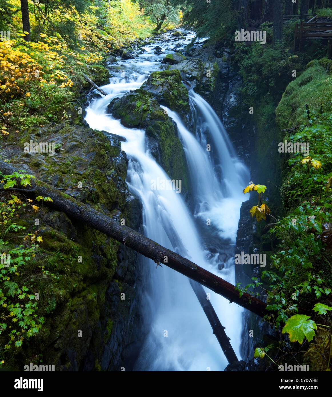 waterfall in Olympic National Park,USA Stock Photo - Alamy