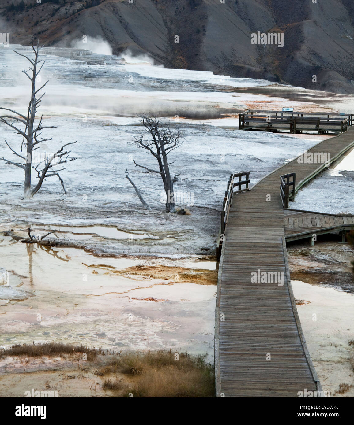 Yellowstone waterfall and hiker hiking hi-res stock photography and ...