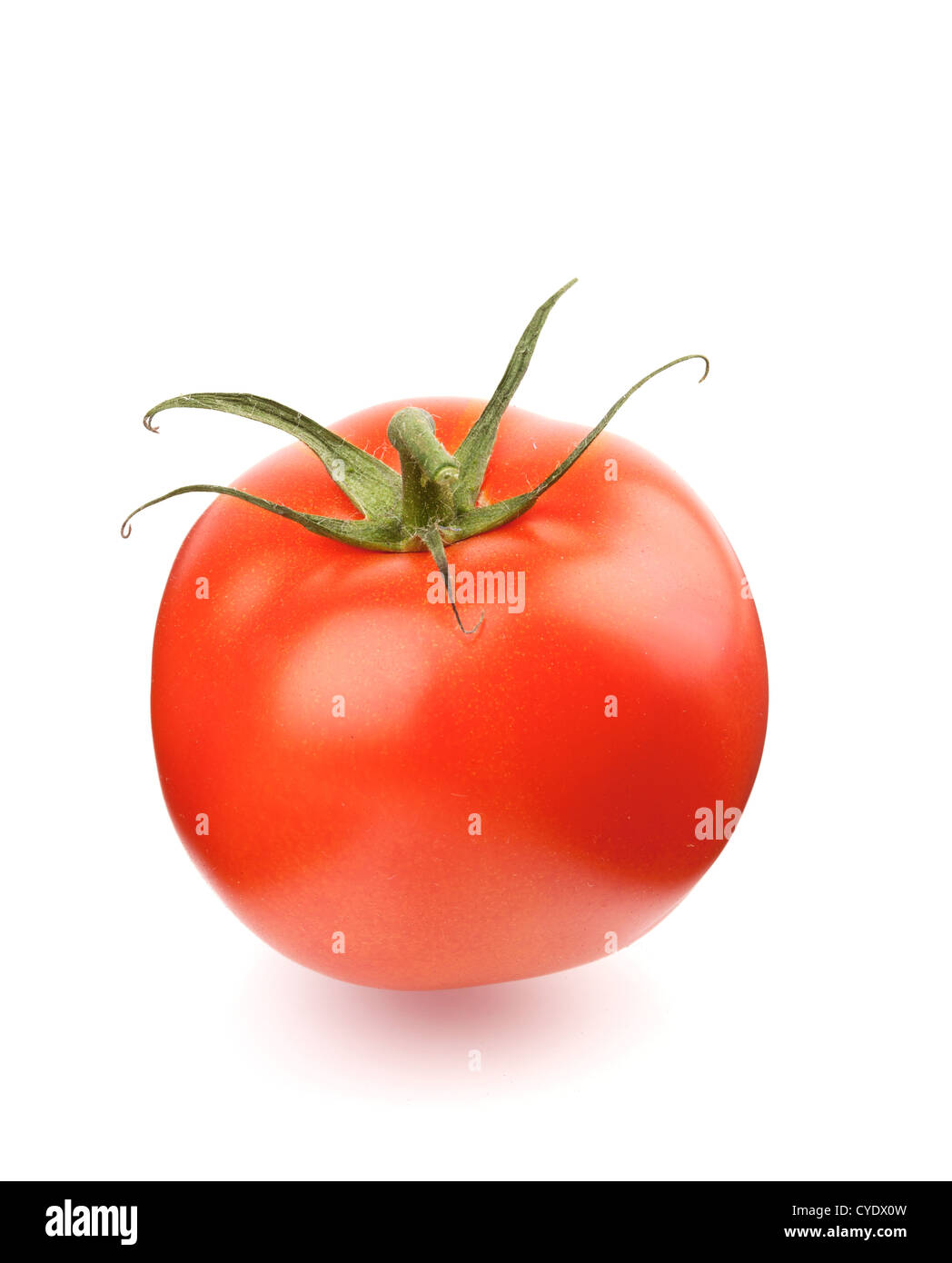 Shiny ripe tomato. Isolated on white background Stock Photo - Alamy