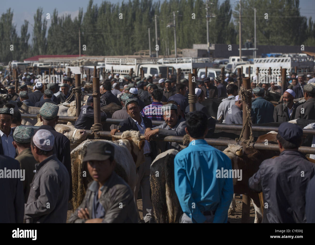 Chosig hi-res stock photography and images - Alamy