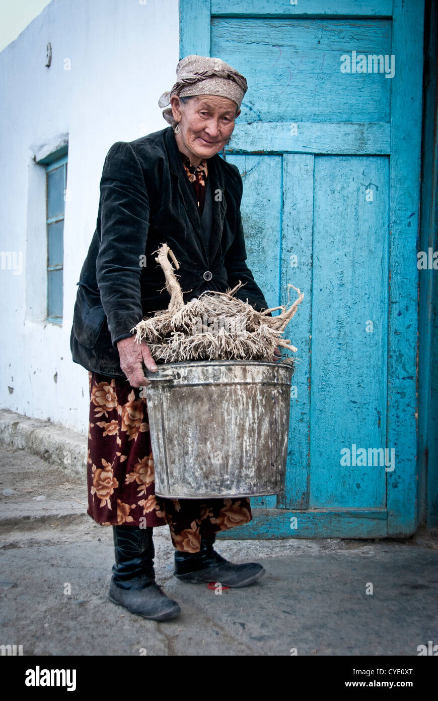 Local Tajik woman after fetching wood, Karakul, Tajikistan Stock Photo ...