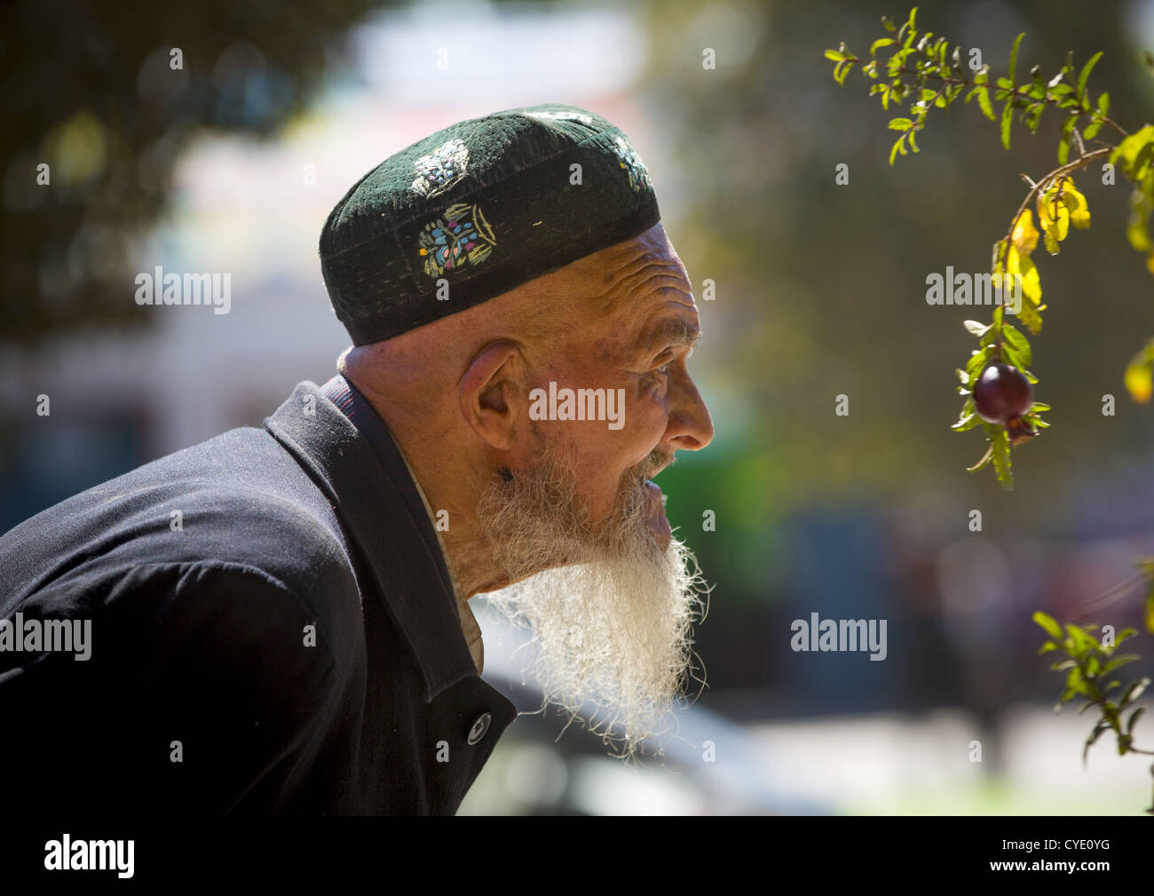 Portrait old uyghur man kashgar hi-res stock photography and images - Alamy