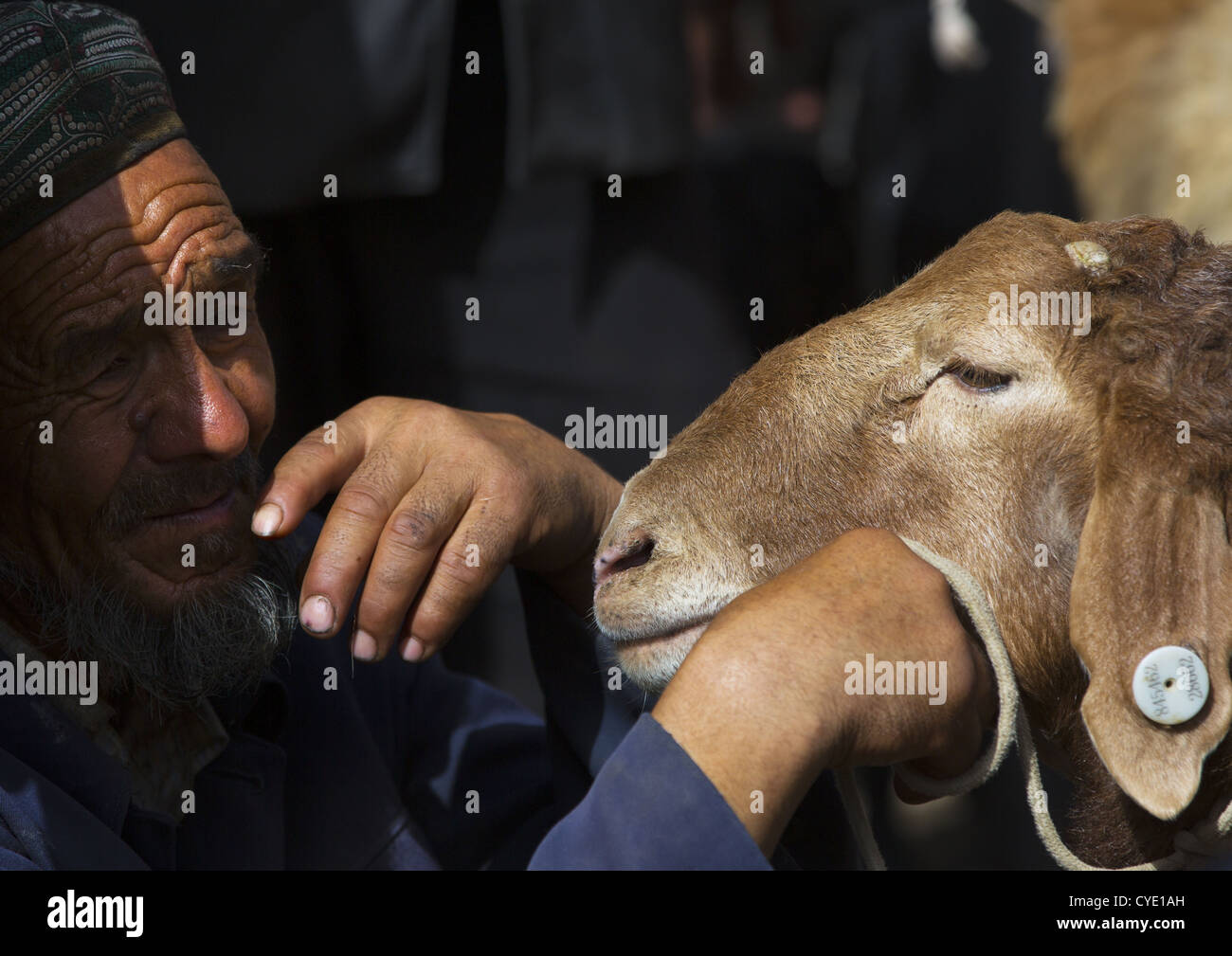 Uyghur Man And His Sheep, Opal Village Market, Xinjiang, China ...