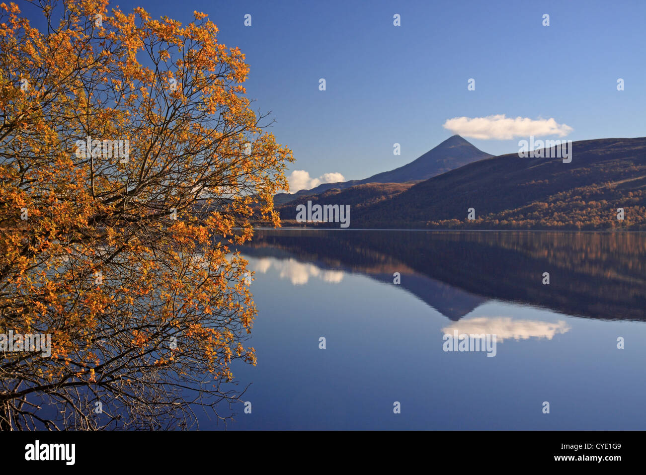 Schiehallion autumn hi-res stock photography and images - Alamy