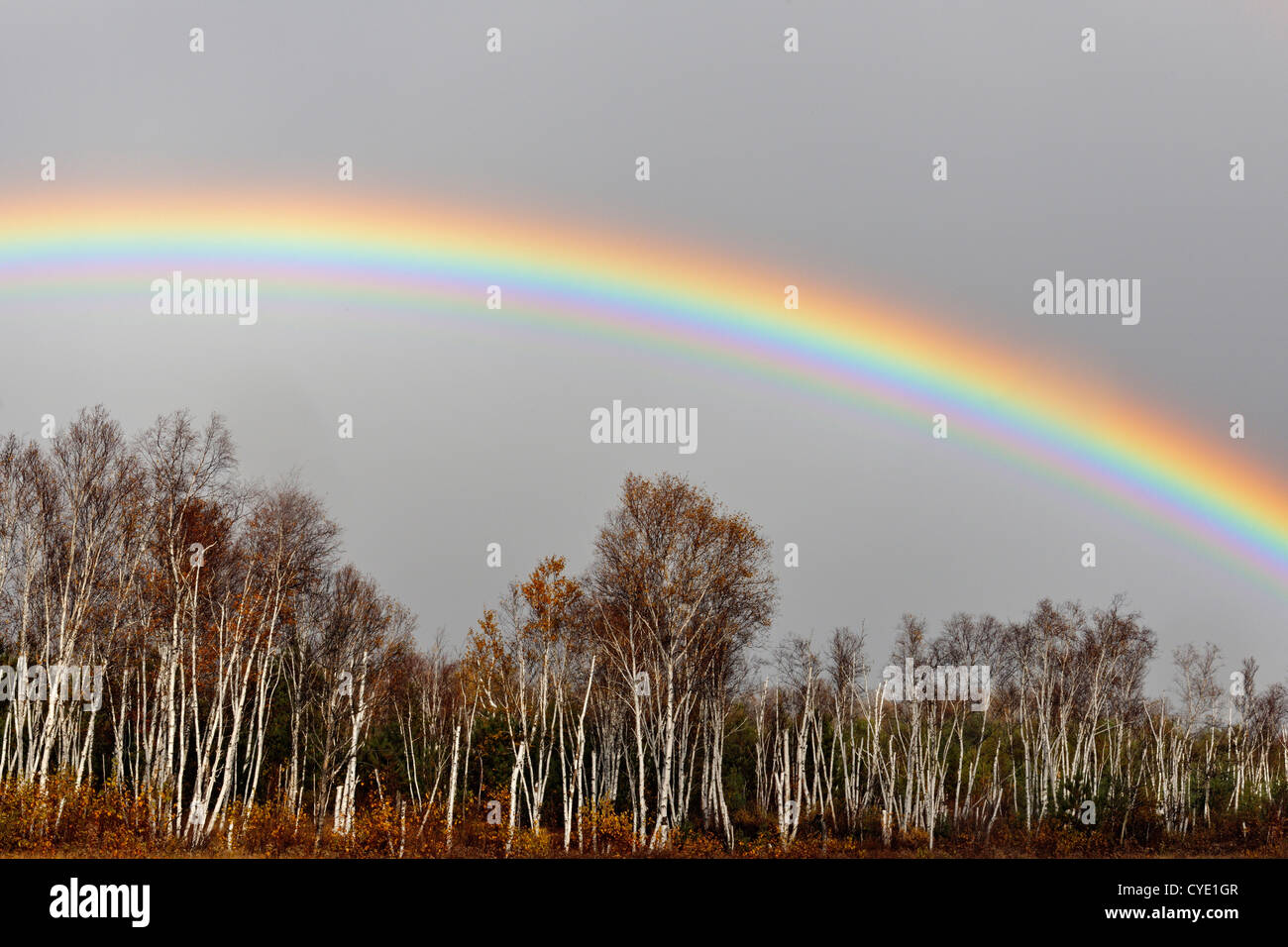 Rain drops and rainbows hi-res stock photography and images - Alamy