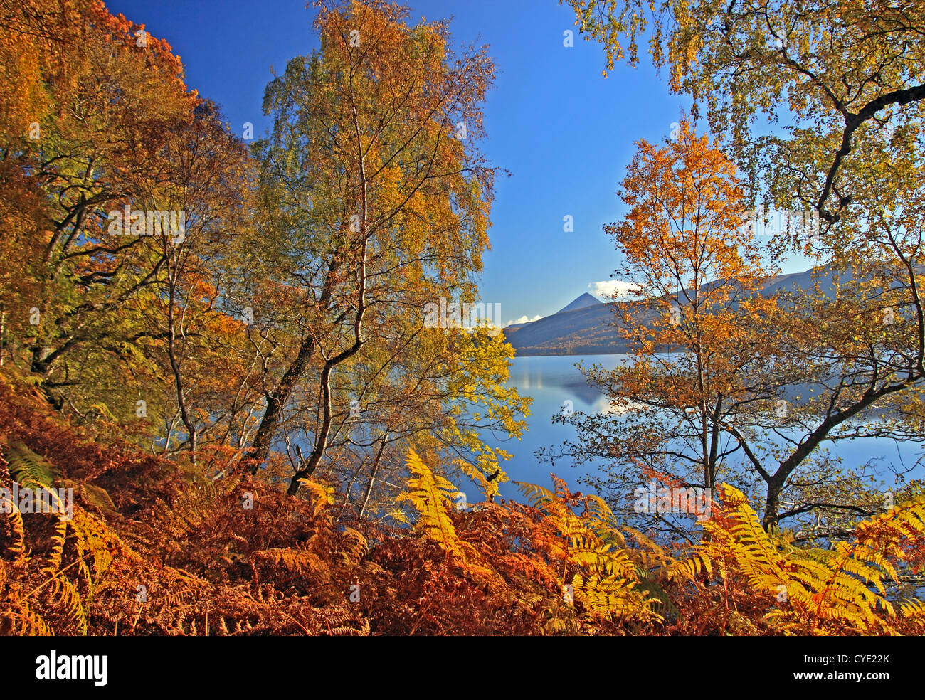 UK Scotland Tayside Perthshire Loch Rannoch and mountain of ...