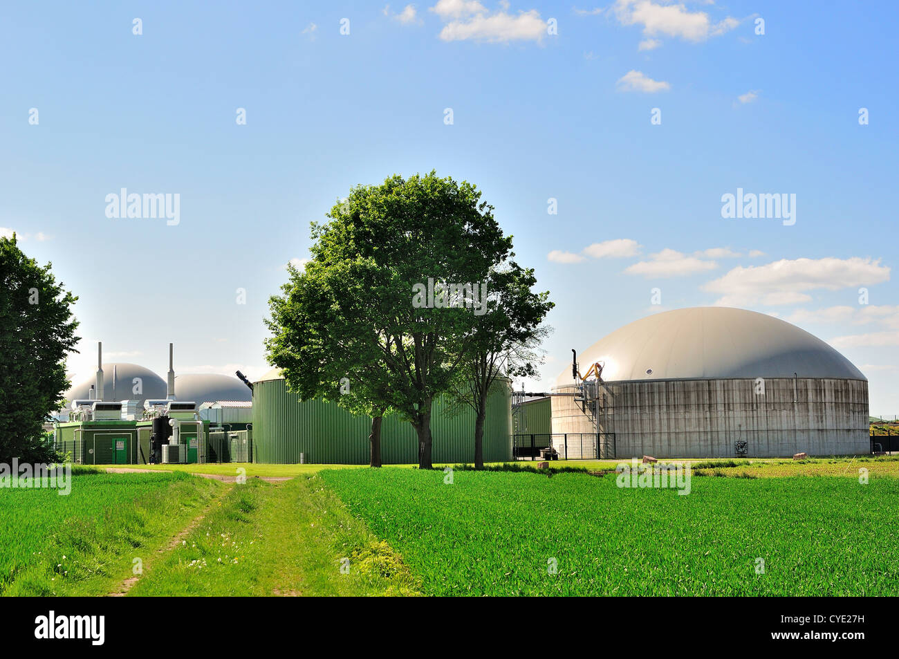 Bio fuel plant Stock Photo - Alamy