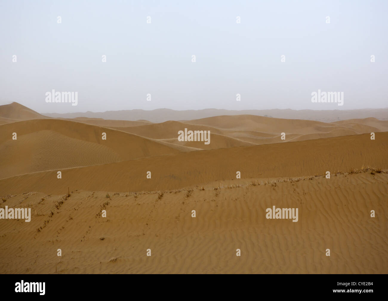 Taklamakan Desert Xinjiang, China, Xinjiang Uyghur Autonomous Region ...