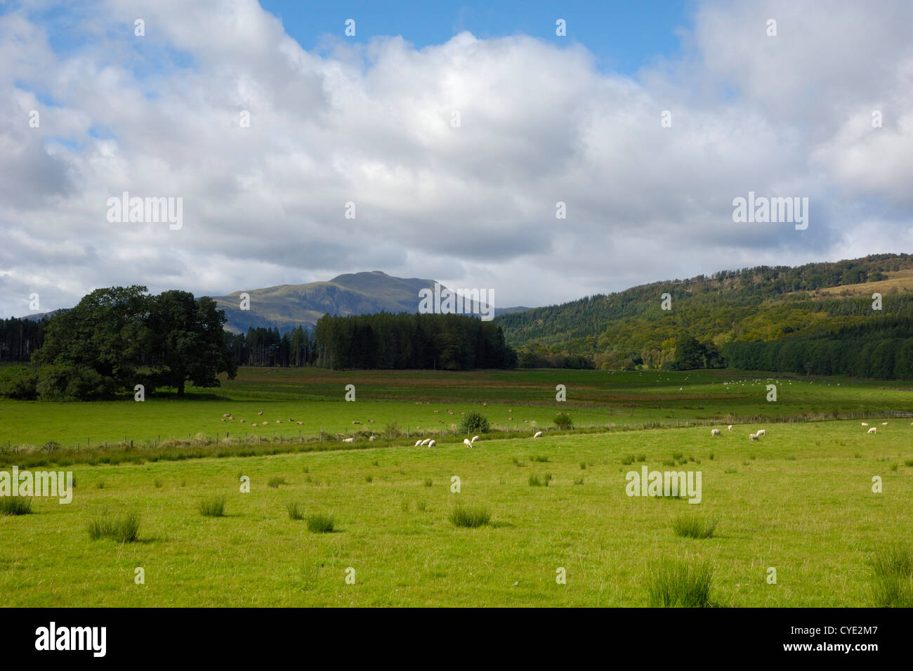 Ben Ledi, from Callander, Loch Lomond and Trossachs National Park ...