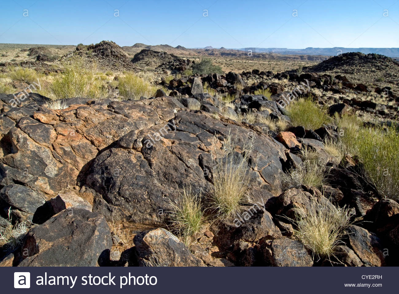 Semi Desert Stock Photos & Semi Desert Stock Images - Alamy