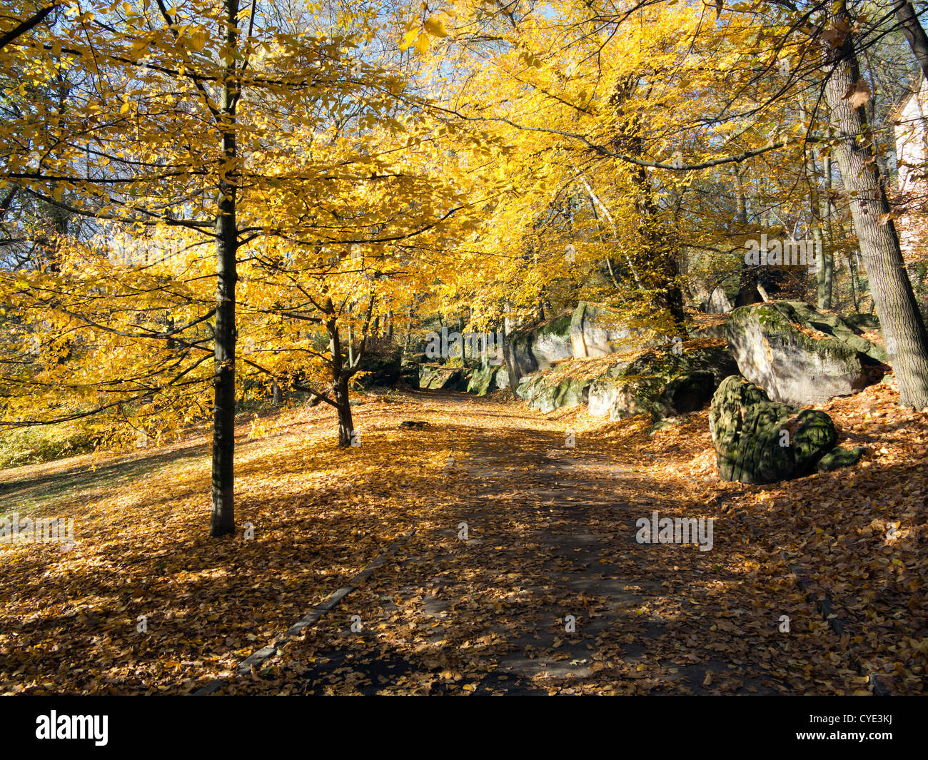 autumn park with trees - autumn mood of the landscape Stock Photo - Alamy