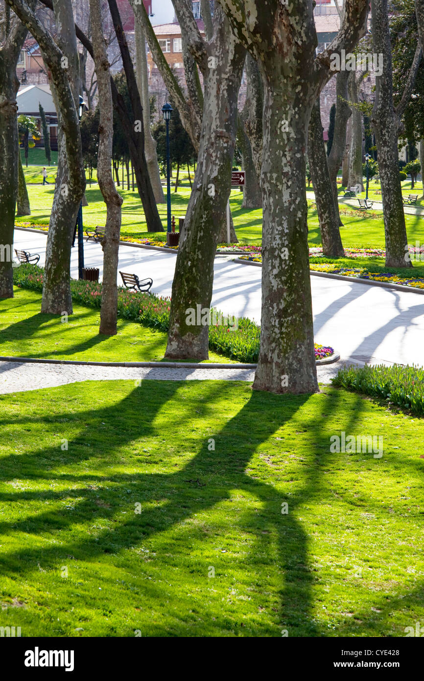 alley in garden Stock Photo - Alamy