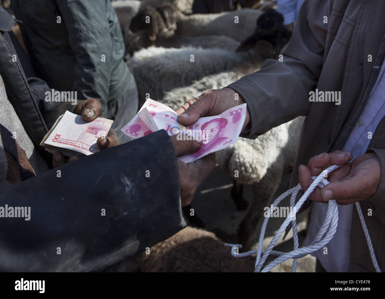 Uyghur china sheep hi-res stock photography and images - Alamy