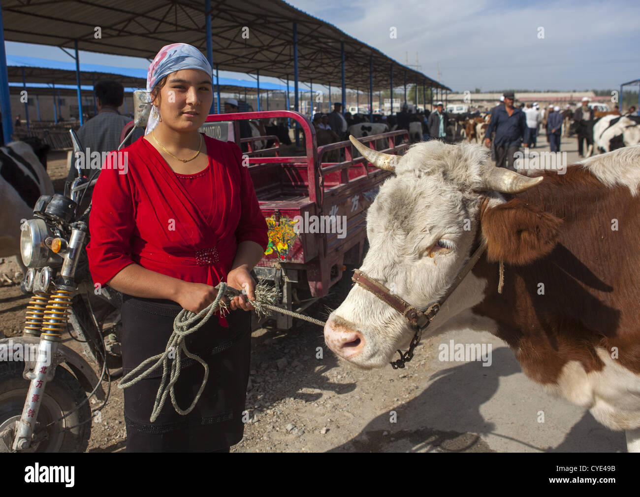 Young Uyghur Woman Showing Her Cow, Serik Buya Market, Yarkand ...