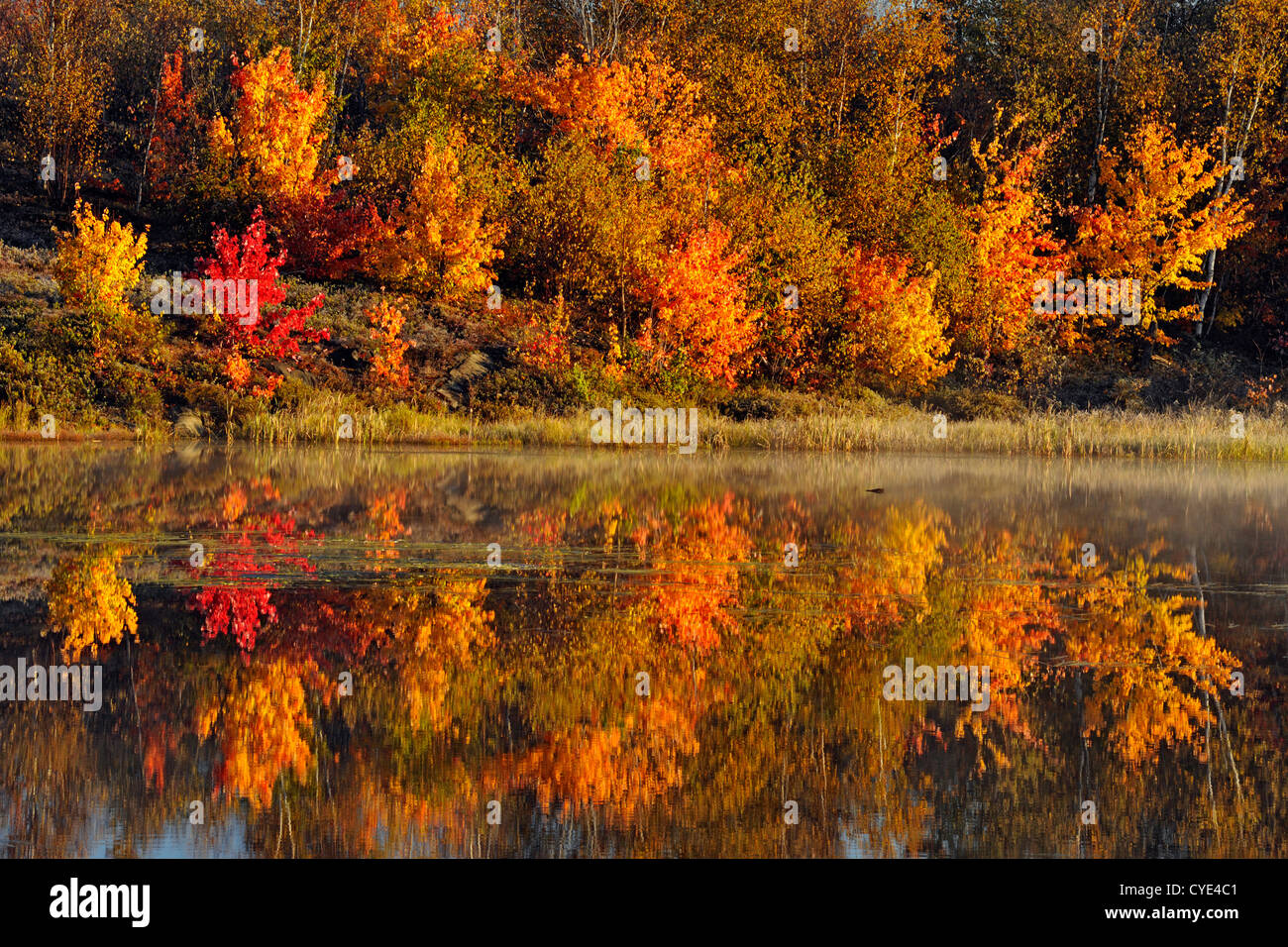 Calming autumn scene peaceful pond hi-res stock photography and images ...