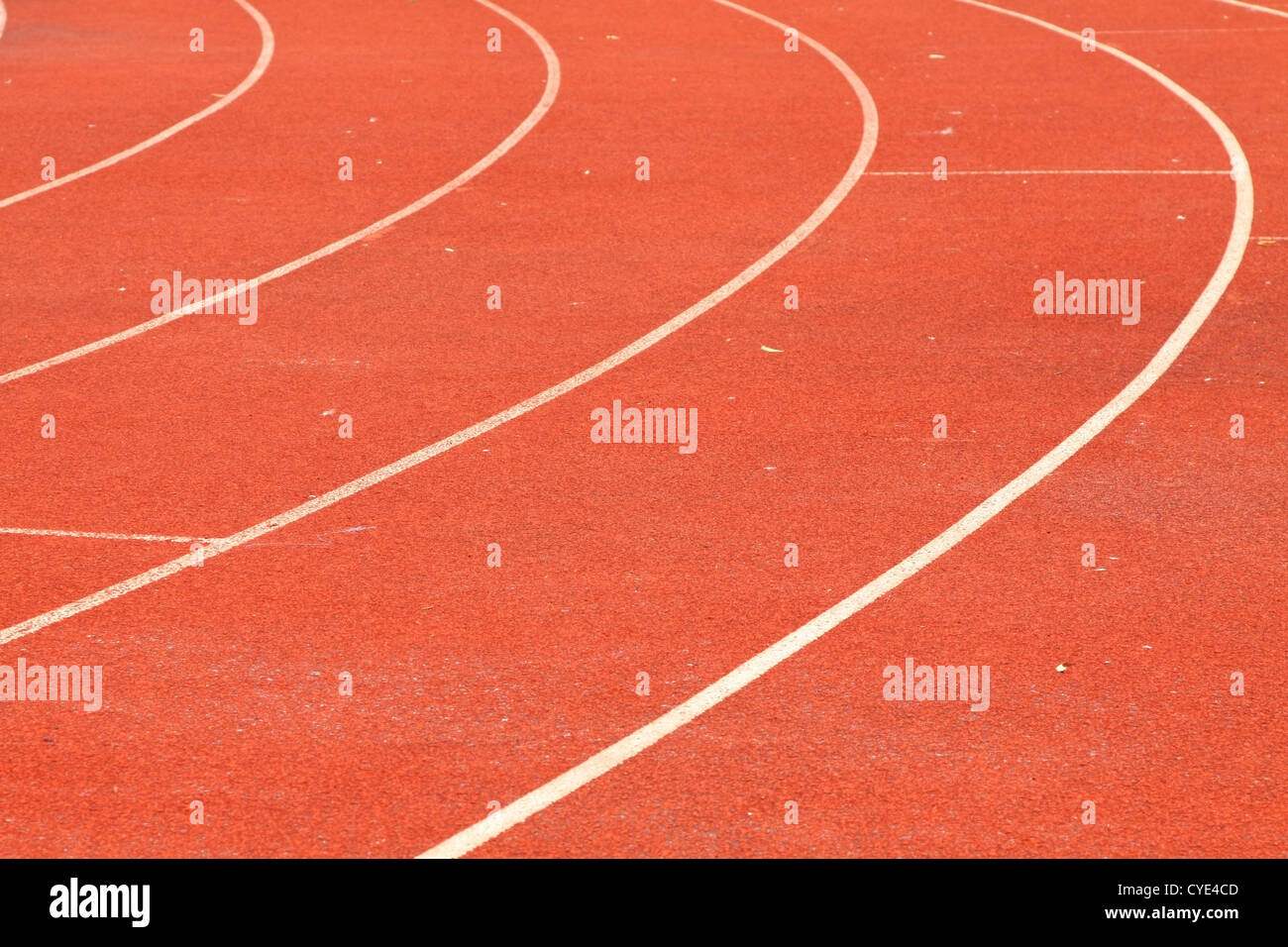Running track for athletes Stock Photo - Alamy