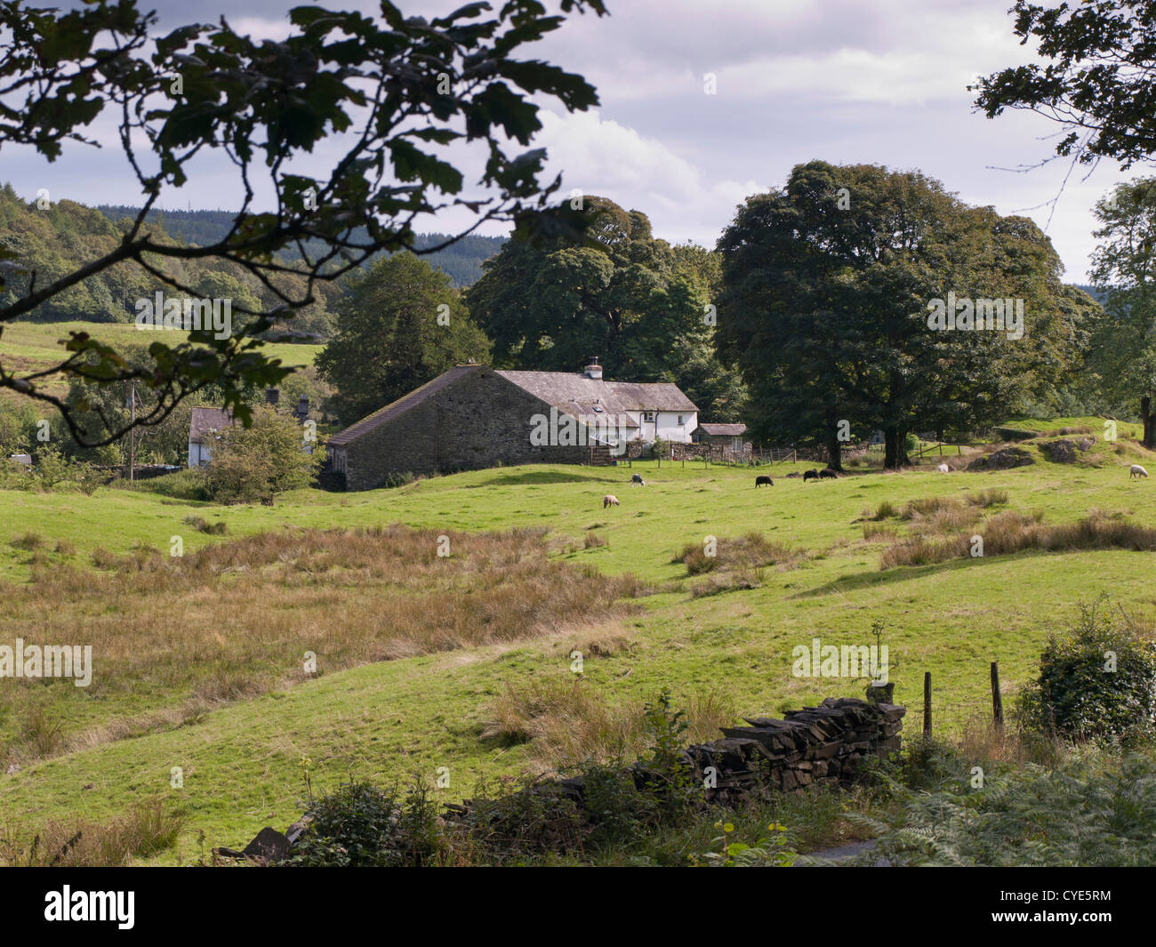 Pastoral scene near Coniston Lake district England as seen from th ...