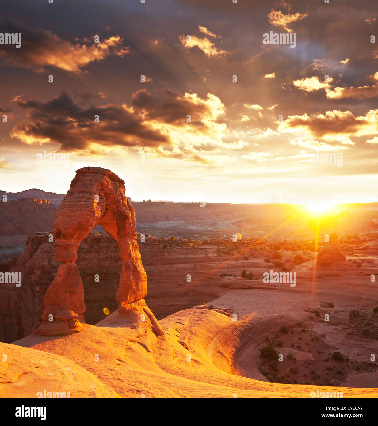 Delicate Arsh in USA Stock Photo - Alamy