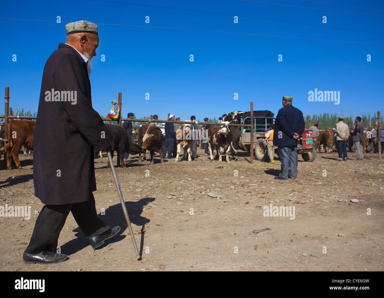 Uyghur Man In Kashgar Animal Market, Xinjiang Uyghur Autonomous Region ...