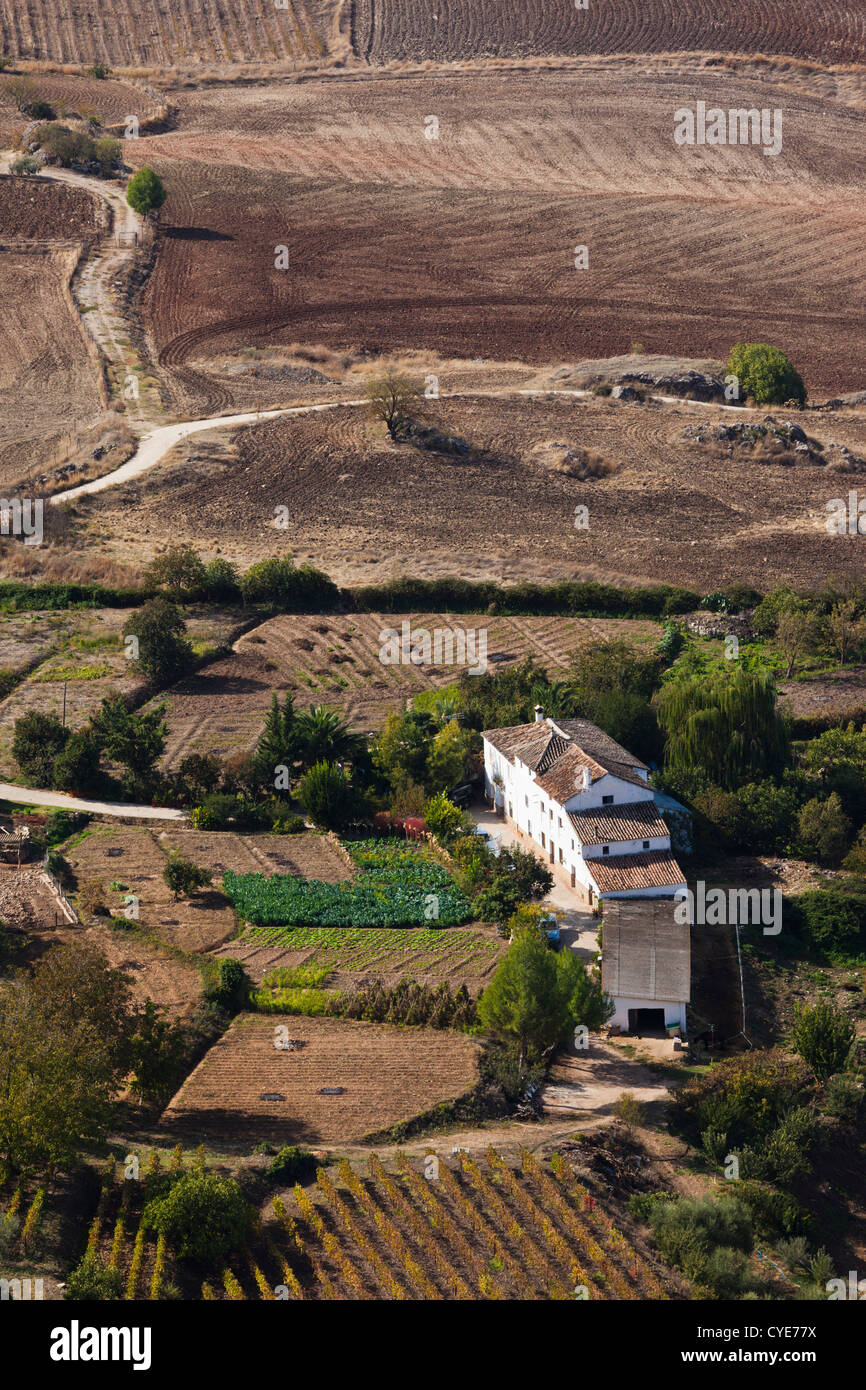 Spain, Andalucia Region, Malaga Province, Ronda, elevated countryside ...