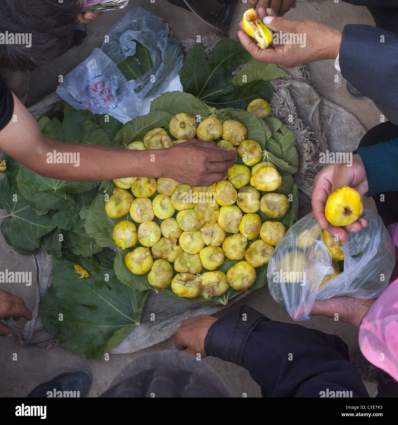Fig Leaf Man High Resolution Stock Photography and Images - Alamy