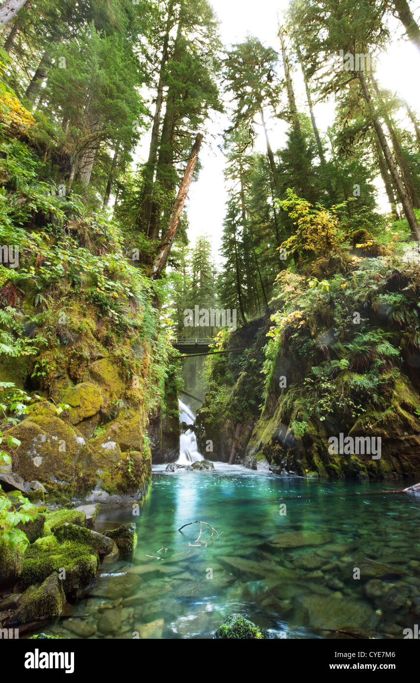 waterfall in Olympic National Park,USA Stock Photo - Alamy