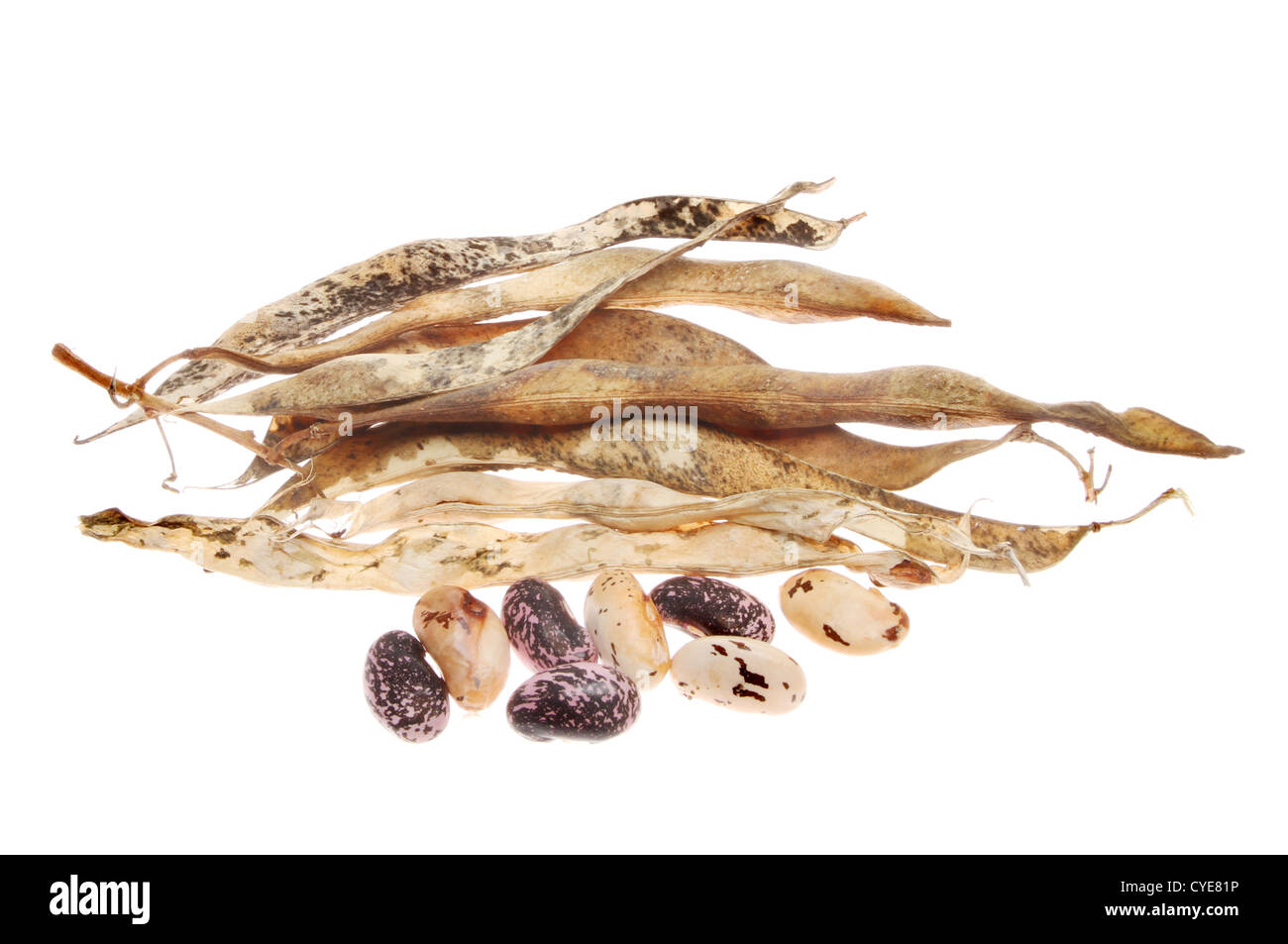 Bean seed pod hi-res stock photography and images - Alamy