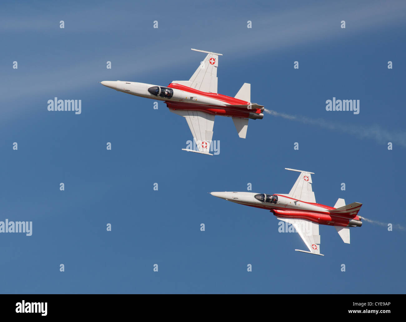 Northrop F-5E Tiger II fighters of the Patrouille Suisse aerobatic team ...