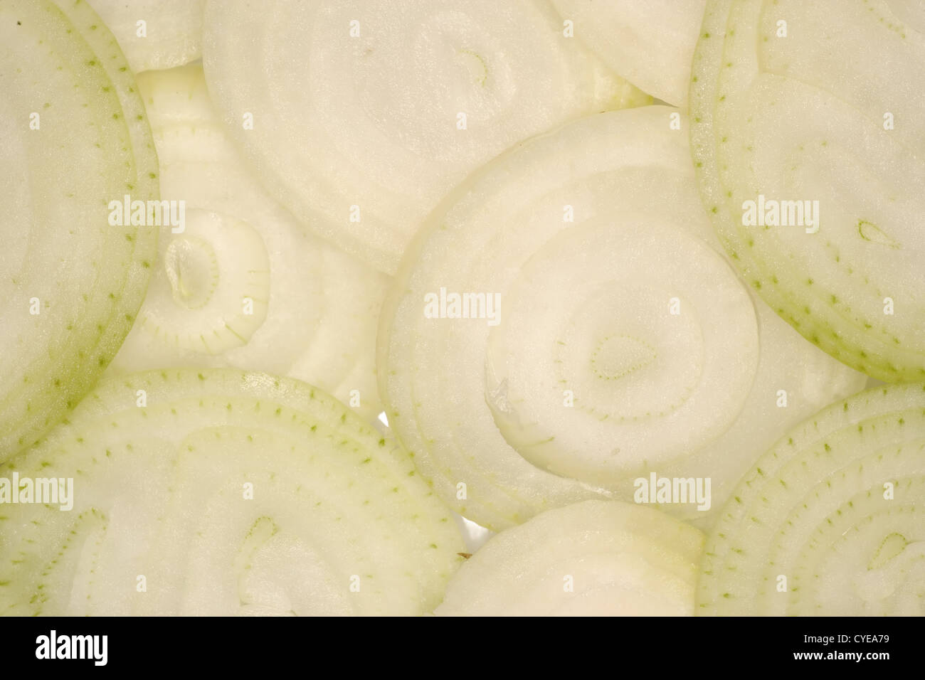 Oignon onion hi-res stock photography and images - Alamy