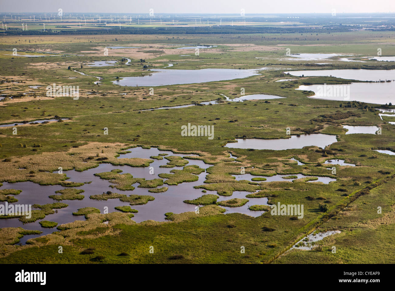 Swamp Aerial High Resolution Stock Photography and Images - Alamy