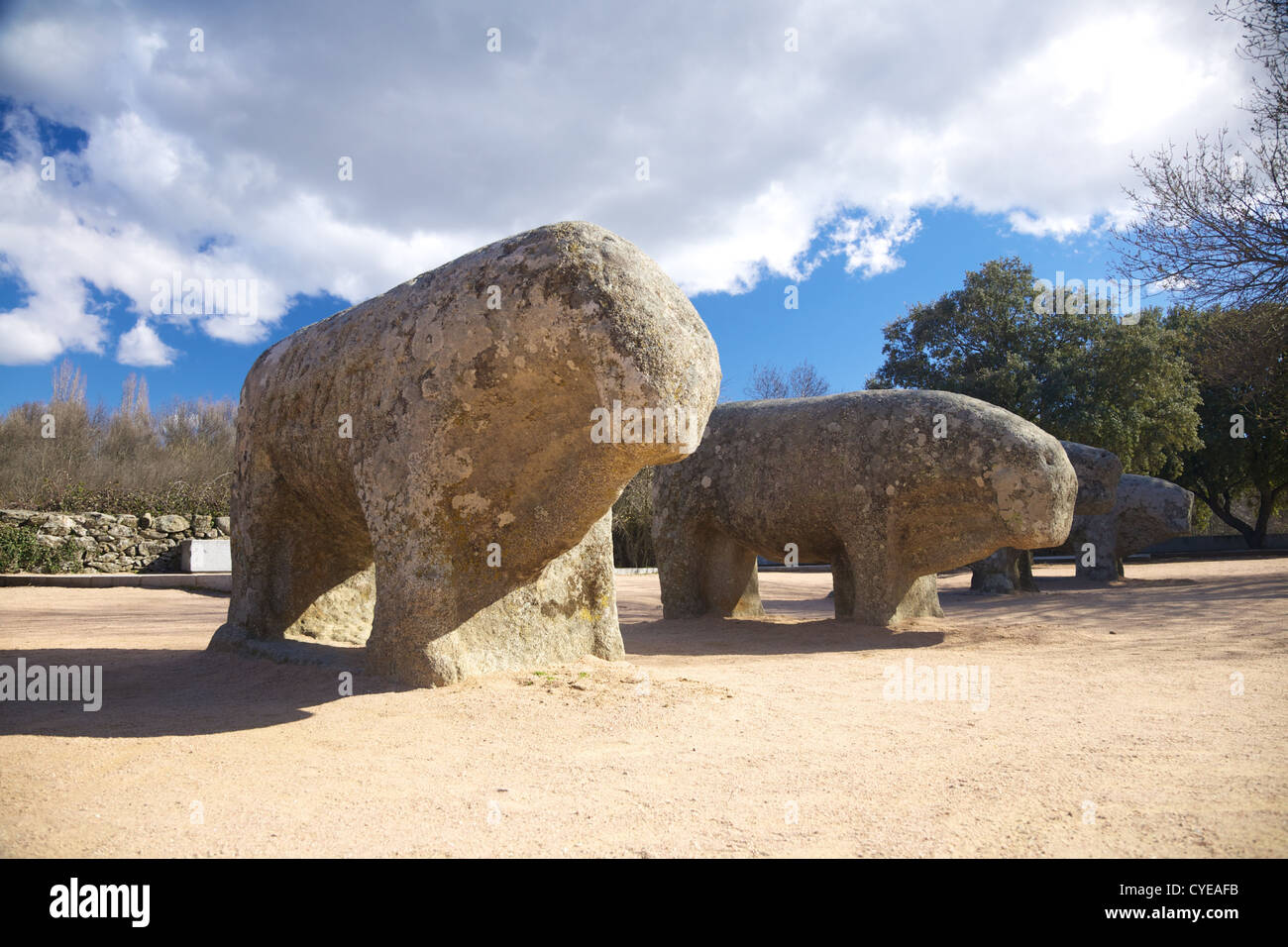 Celtiberian hi-res stock photography and images - Alamy