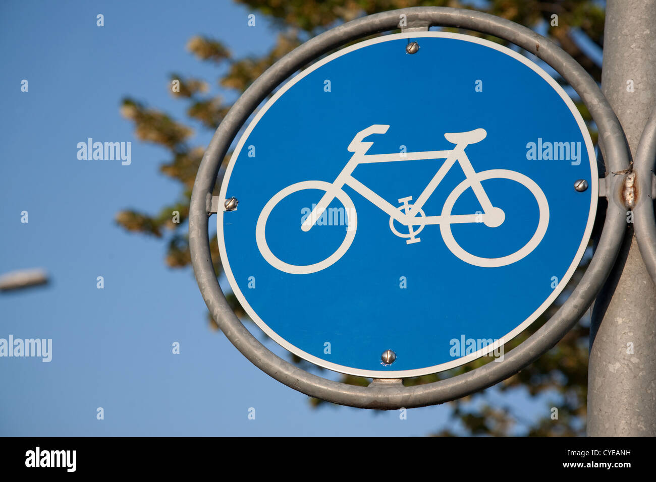 Blue Bike Symbol Sign in an Urban Setting Stock Photo - Alamy